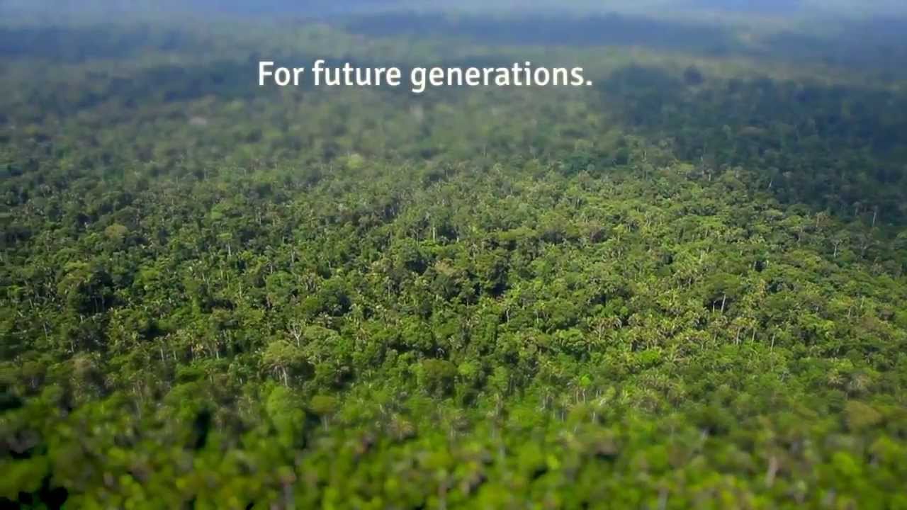 Life on Amazon River - YouTube