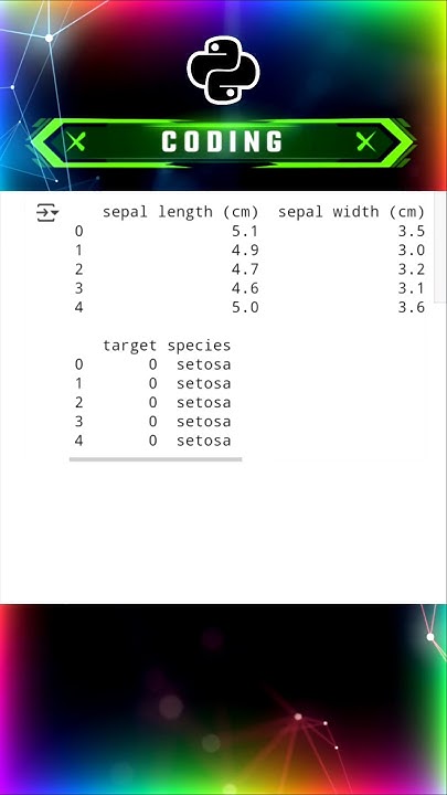 The Best Way to Import Datasets in Python #data #python - YouTube