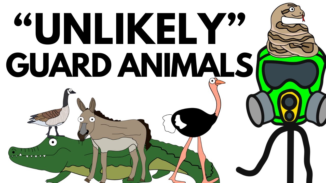 Guard Animals You Didn't Expect - YouTube
