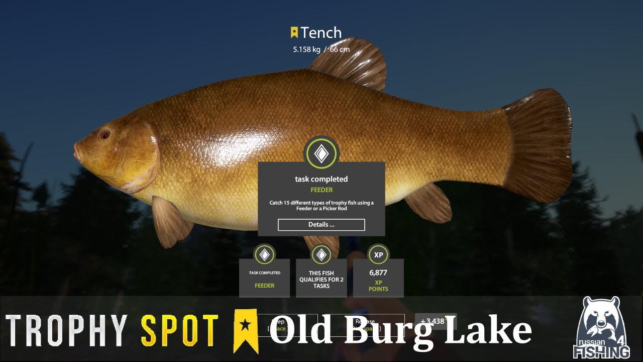 Russian Fishing 4 | Old Burg Lake trophy Tench spot - YouTube