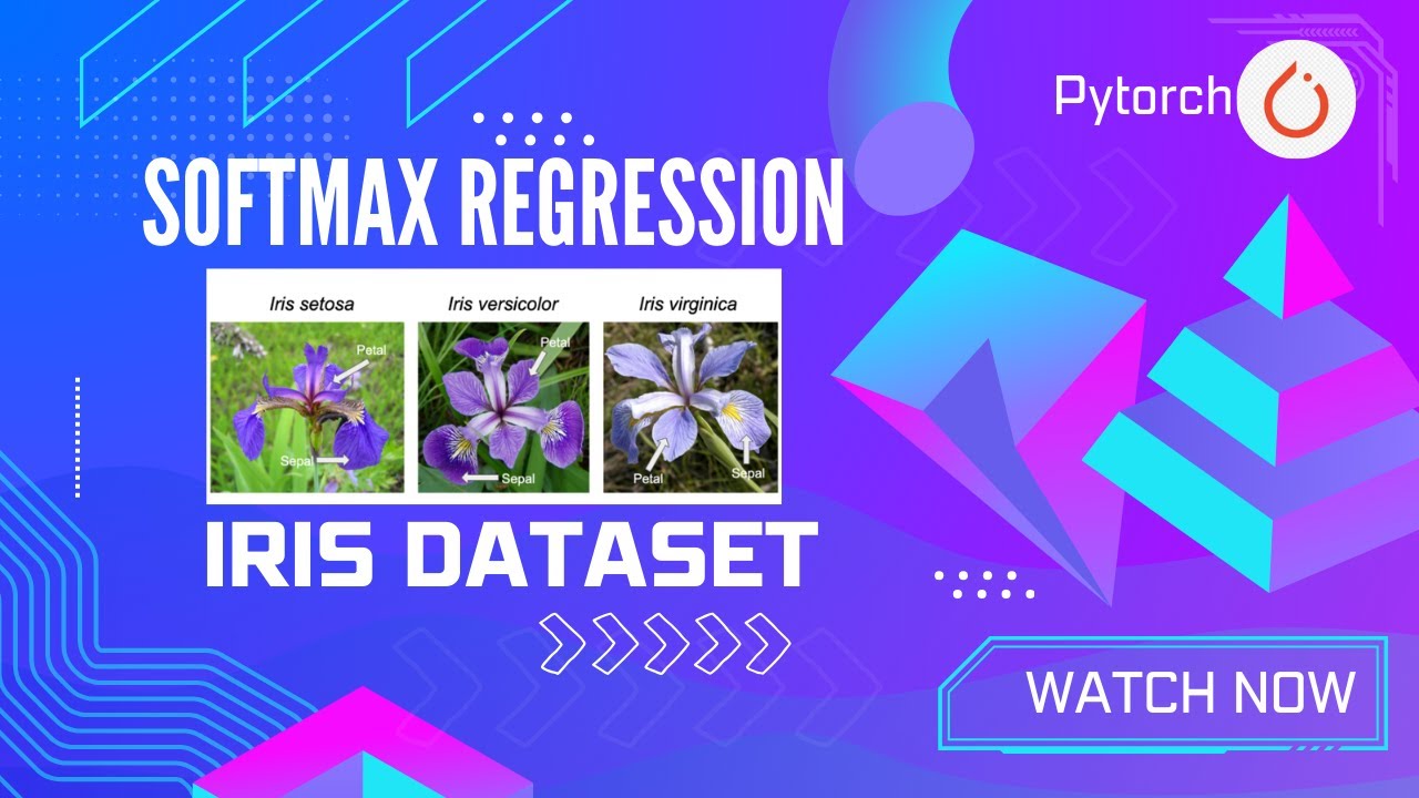 Softmax Regression From Scratch And Pytorch With Iris Dataset Coding 8680