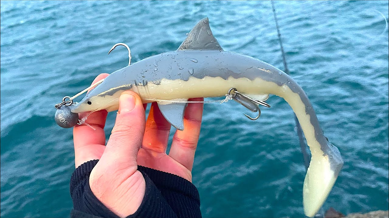PESCO CON UNO GROSSO SQUALO DI GOMMA COME ESCA?! Lure Fishing Challenge ...