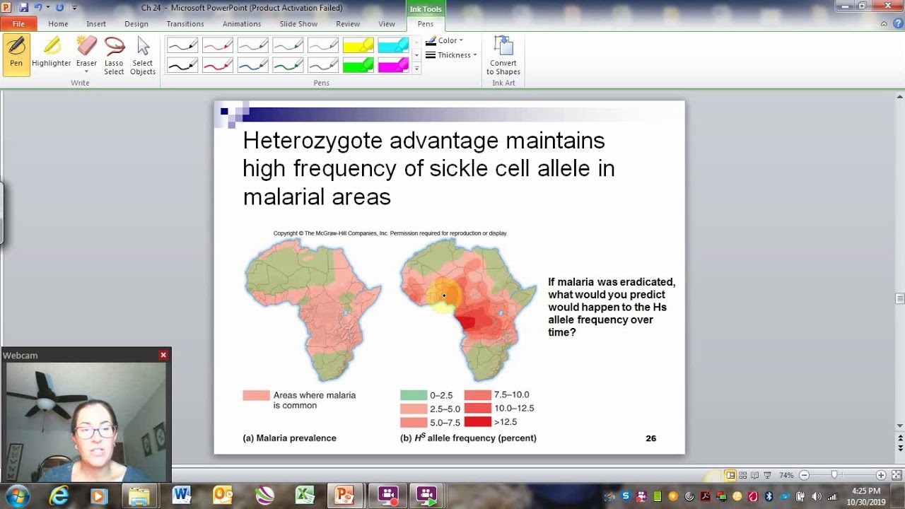 Disruptive and Balancing Patterns of selection - YouTube