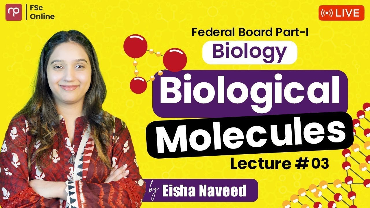 Free FSc | Biology Part 1 | Biomolecules | Lecture 3 | Mam Eisha Naveed | - YouTube