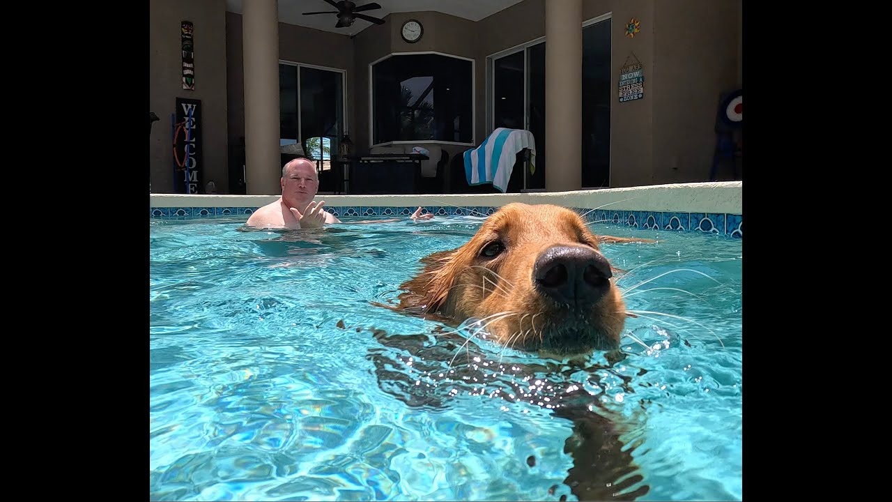 Mags in the Pool - YouTube