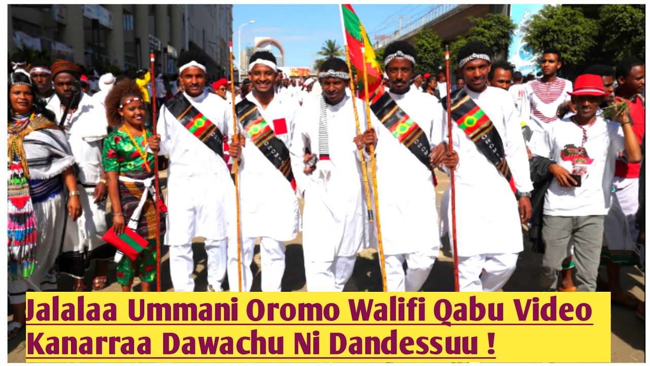 Jalalaa Ummani Oromo Walifi Qabu ️Dawadha♥️Mashaa Allah.KT. - YouTube