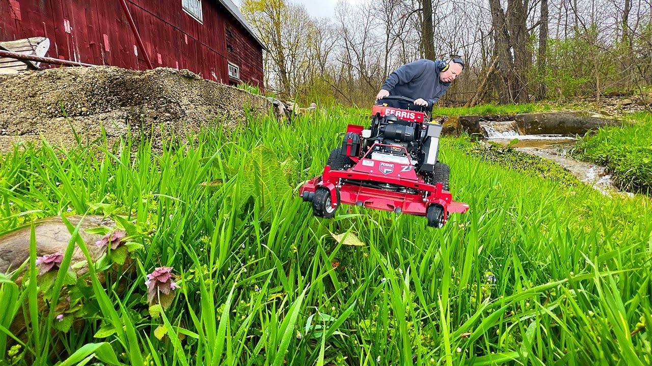 MASSIVE Snake Spotted while Mowing overgrown lawn with new Mower - YouTube