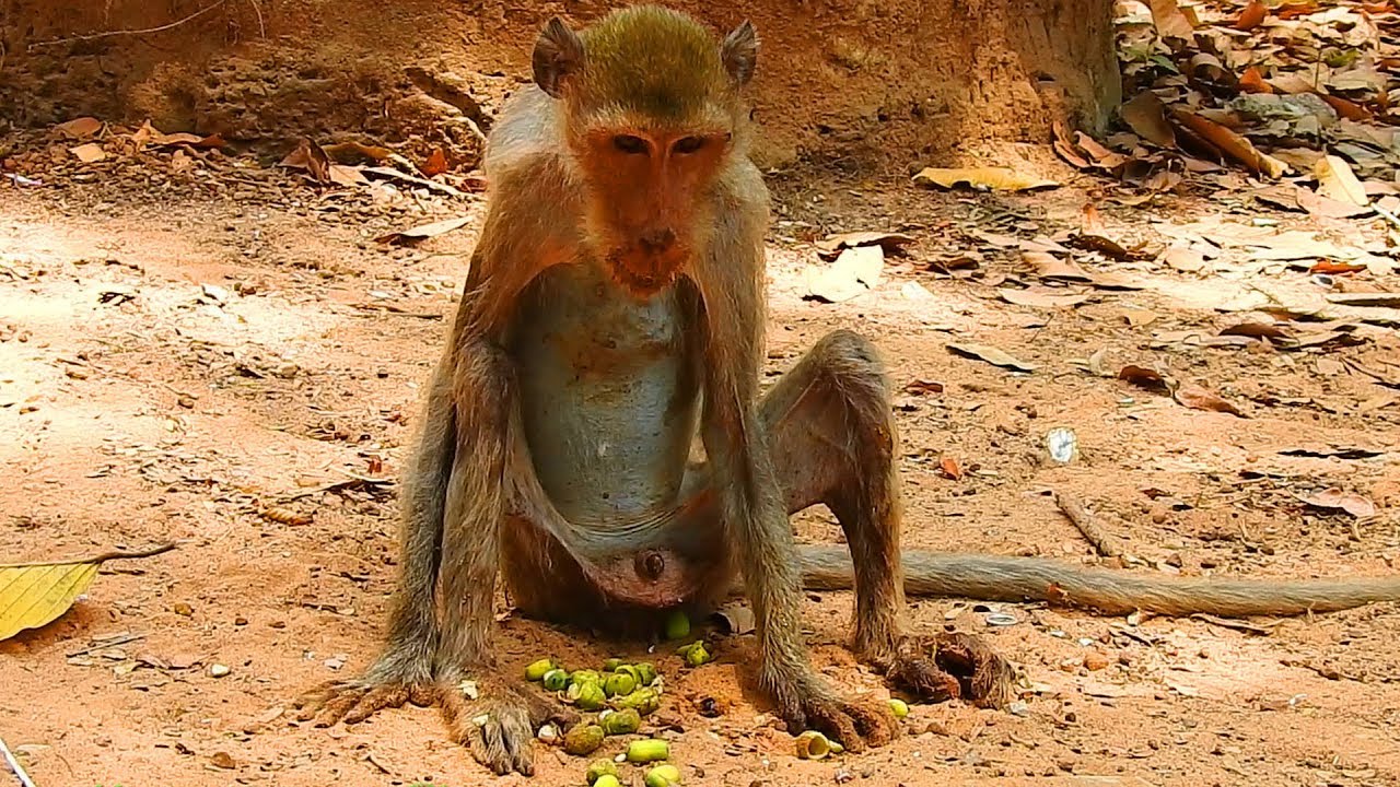 Skinny man very very weak hope he will better soon, That very sad ...