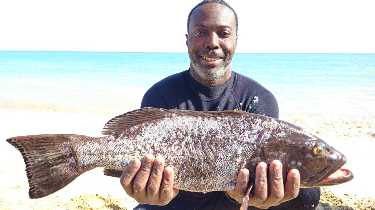 Spearfishing My Dream Fish | Yellow Fin Grouper - YouTube