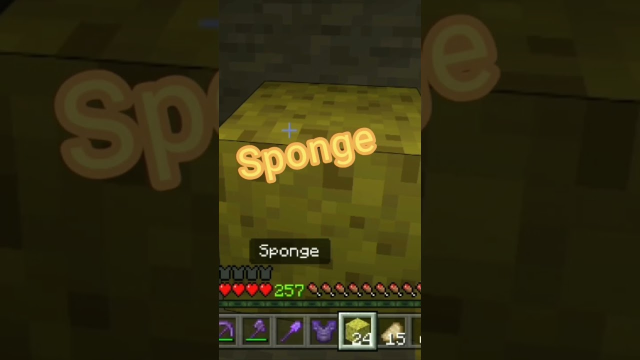Sponge - YouTube