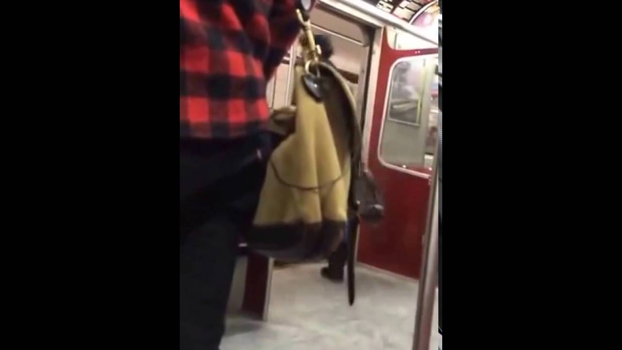 two black chicks fight on the Toronto TTC subway - YouTube