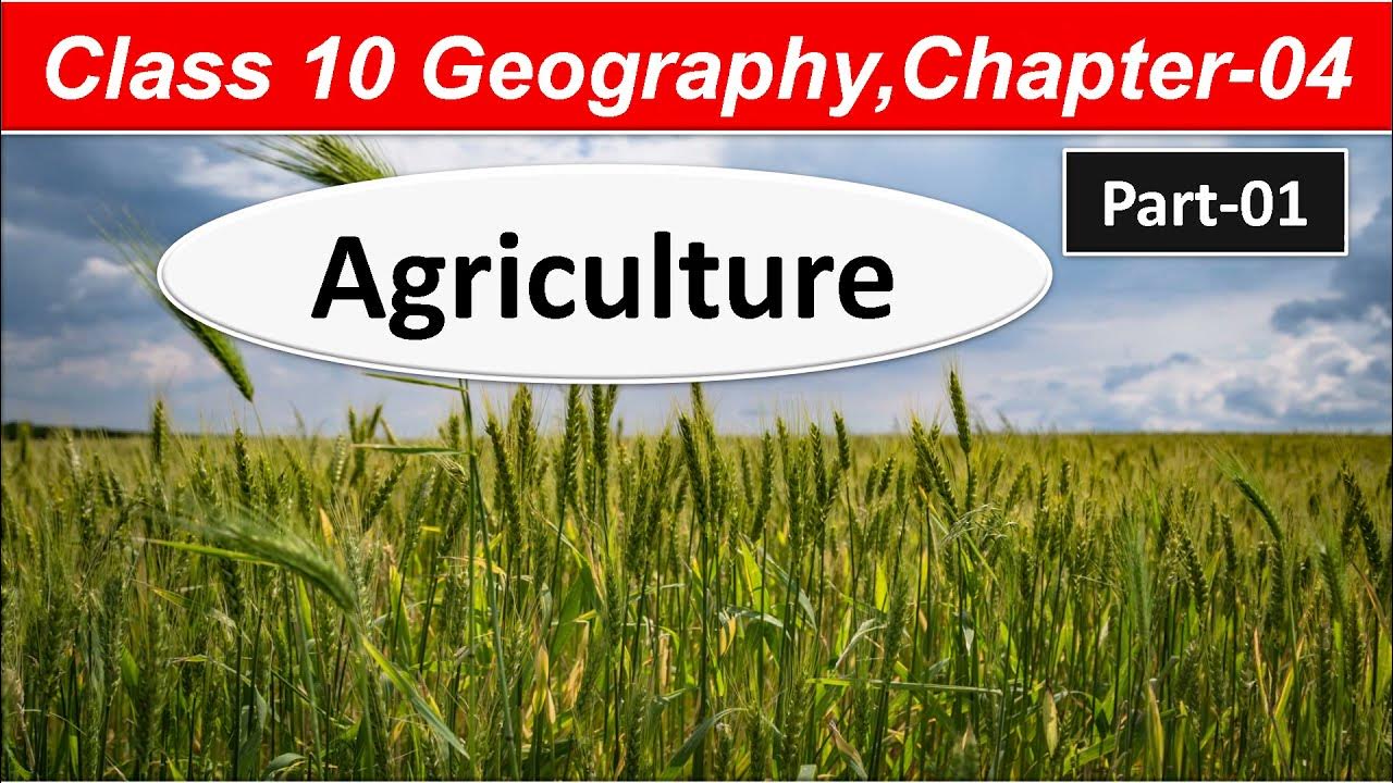 Primitive Subsistence Farming Intensive Farming Class 10 Geography primitive-subsistence-farming-intensive-farming-class-10-geography