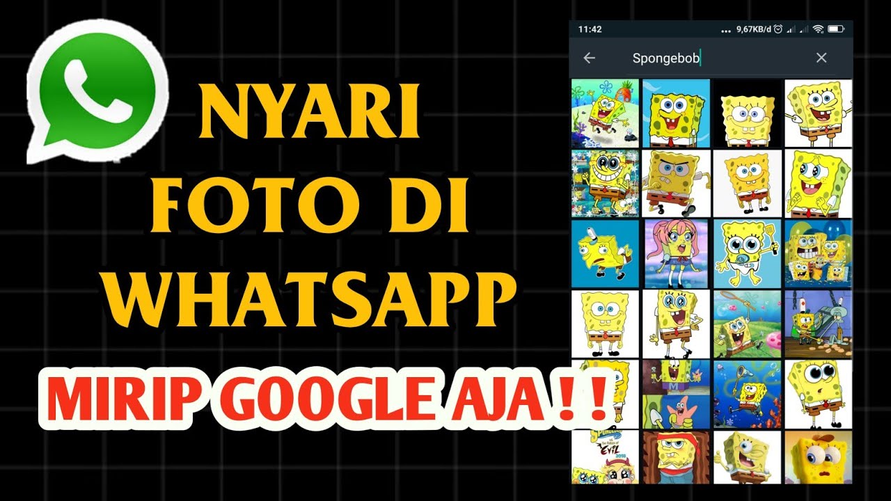 Cara Cari Foto Di Whatsapp Seperti Google - YouTube