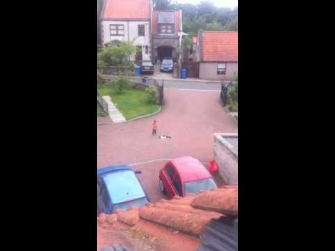 Boy loves random cat