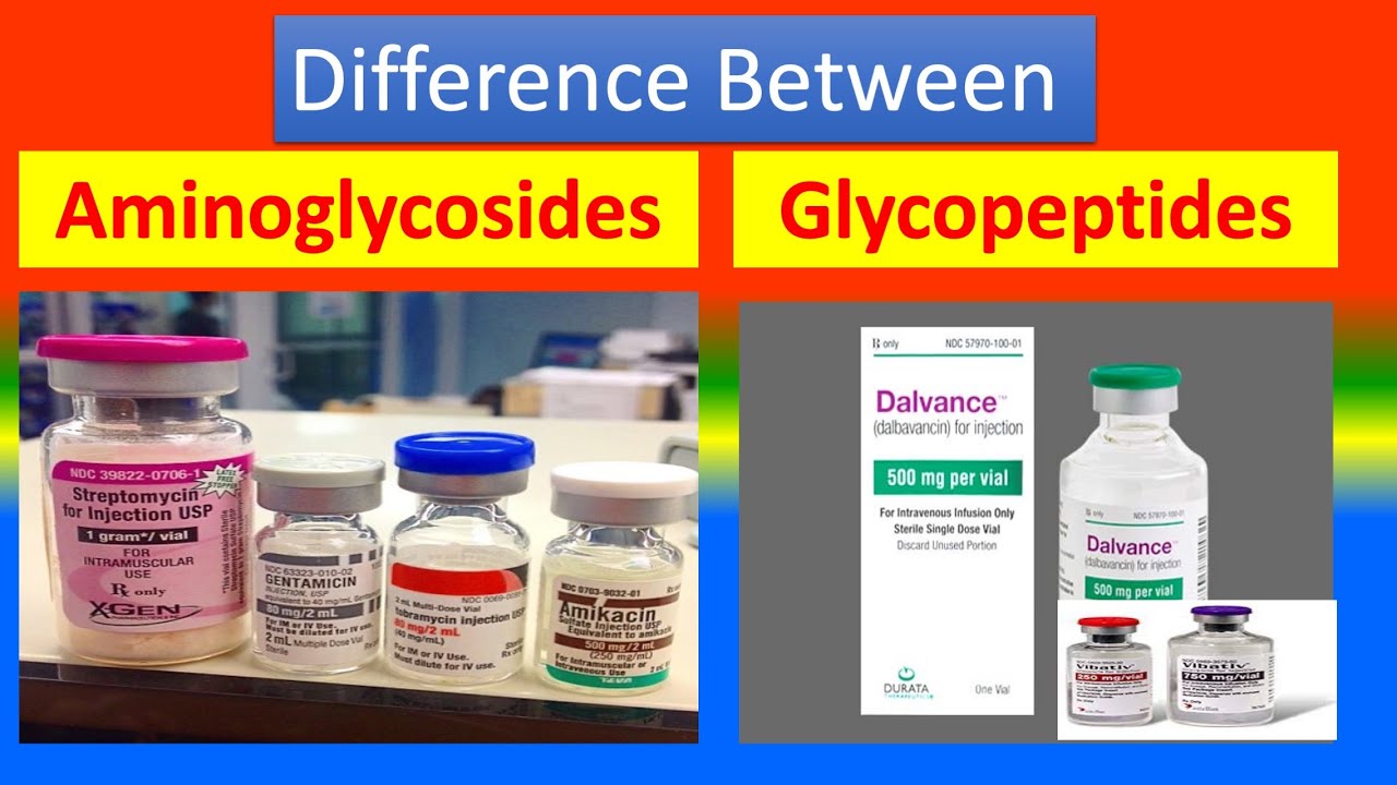 Difference between Aminoglycosides and Glycopeptides - YouTube