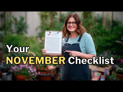 NOVEMBER GARDENING TIPS for Mild Winter Climates