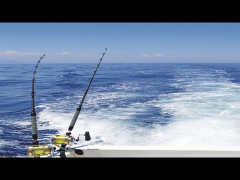Τα Ψαρέματα της Συρτής - YouTube