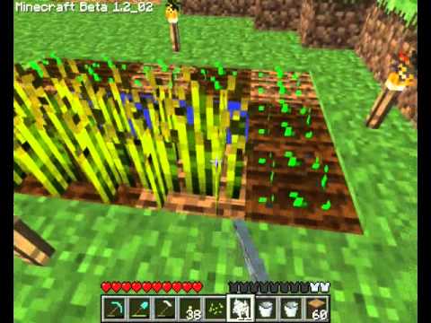 Minecraft Farm: Come coltivare il grano - YouTube