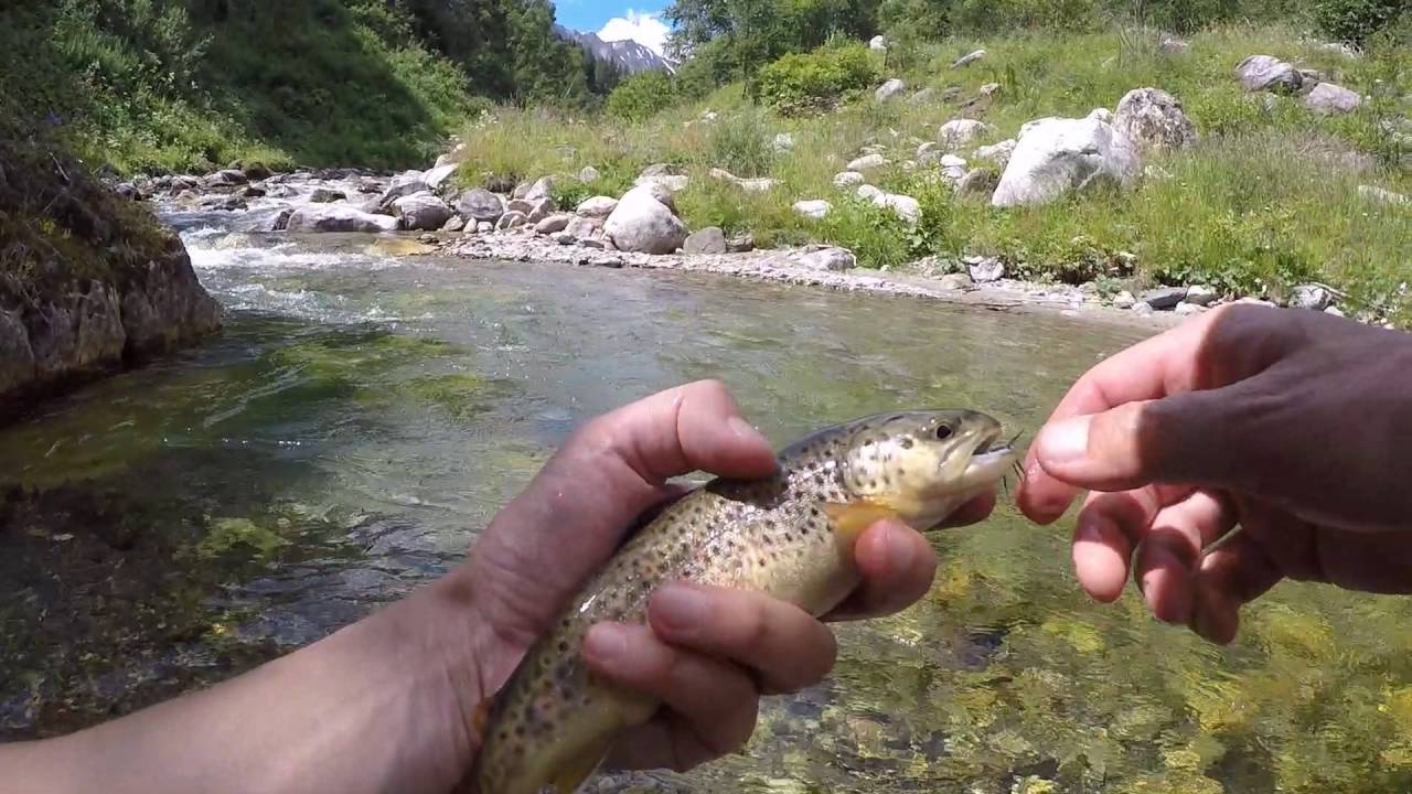 Pesca a mosca secca in Ticino # 2 - YouTube