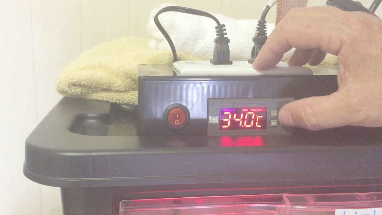 iPaws Humidicrib and Incubator Overview - YouTube