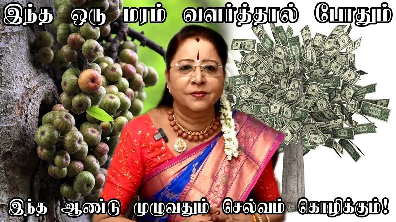 இந்த ஒரு மரம் வளர்த்தால் போதும் ஆண்டு முழுவதும் செல்வம் கொழிக்கும் ...
