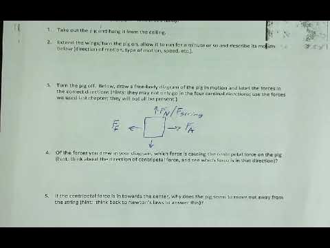 Physics 1 - Circular Motion - Lab 1: Flying Pigs (#3-5) - YouTube