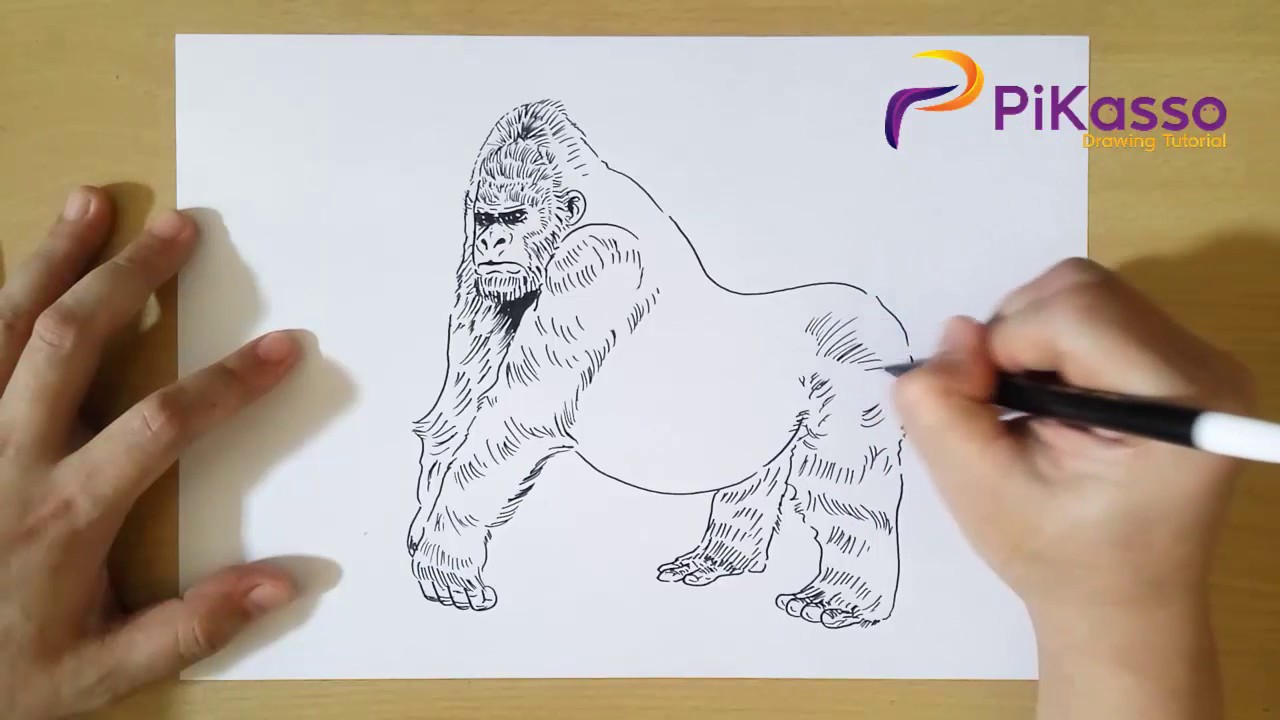 How to Draw Gorilla step by step - YouTube