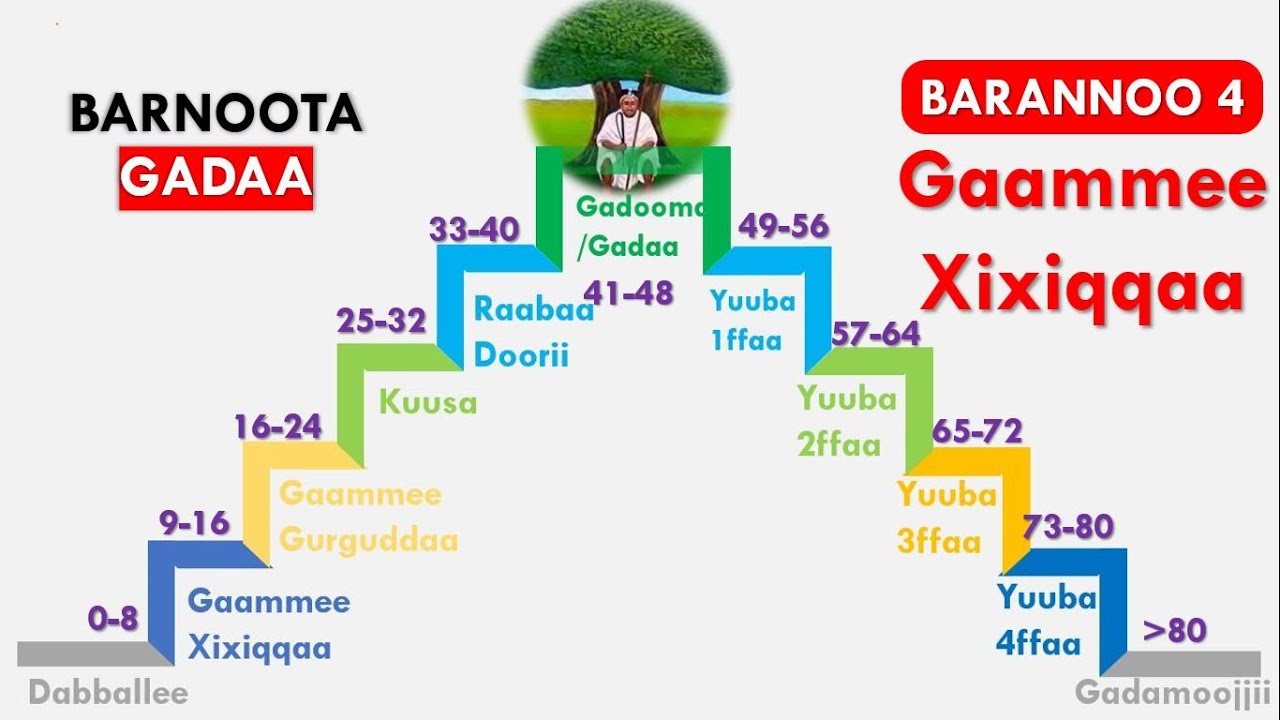 Barnoota Gadaa - Gaammee Xixiqqaa - YouTube