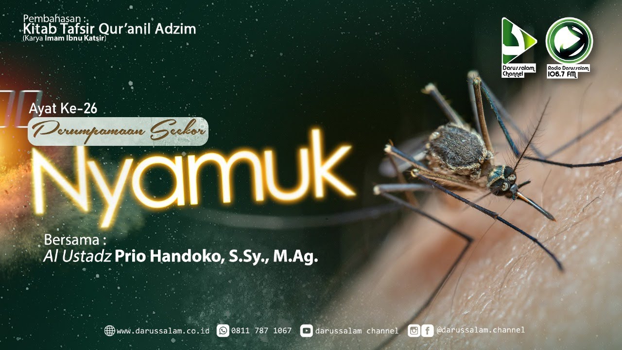 Tafsir Qur'anil 'Adzim #44: "Perumpamaan Seekor Nyamuk" - Ustadz Prio Handoko, S.Sy., M.Ag ...