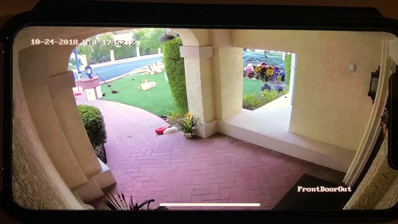 Usps breaks glass pumpkin and freaks out! - YouTube