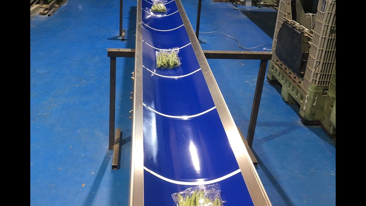 Lined trough conveyor for placement gapping to flow wrapper by C-Trak ...