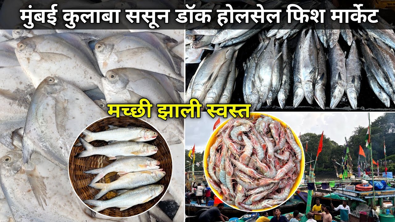 Colaba Sassoon Dock Fish Market | Colaba Fish Market Mumbai | Wholesale ...