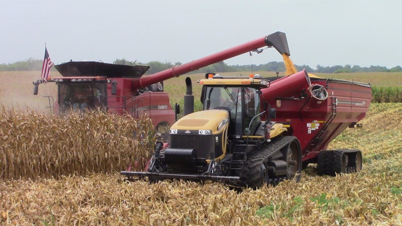 2017 Corn Shelling Season Underway - YouTube