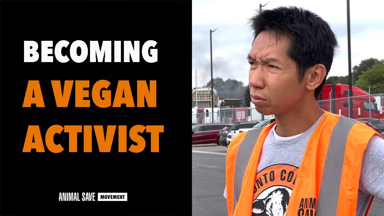 On the Road to Becoming a Vegan Animal Rights Activist - YouTube