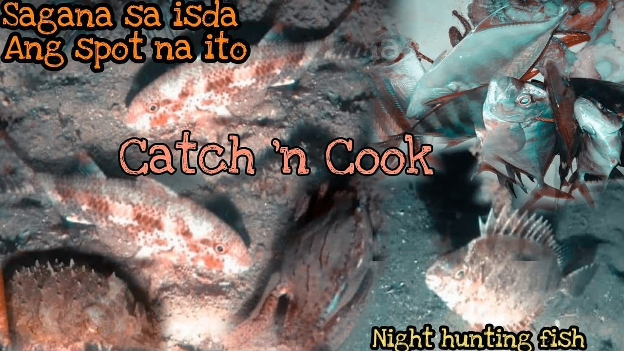 EP 195: NIGHT HUNTING FISH | SAGANA ANG SPOT NA ITO CATCH AND COOK ...