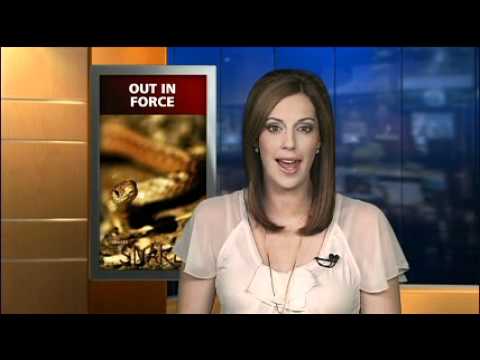 Win News Mackay (14/12/2010) - YouTube