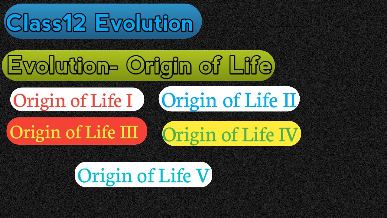 Evolution- Origin of Life || Class 12 Evolution - YouTube