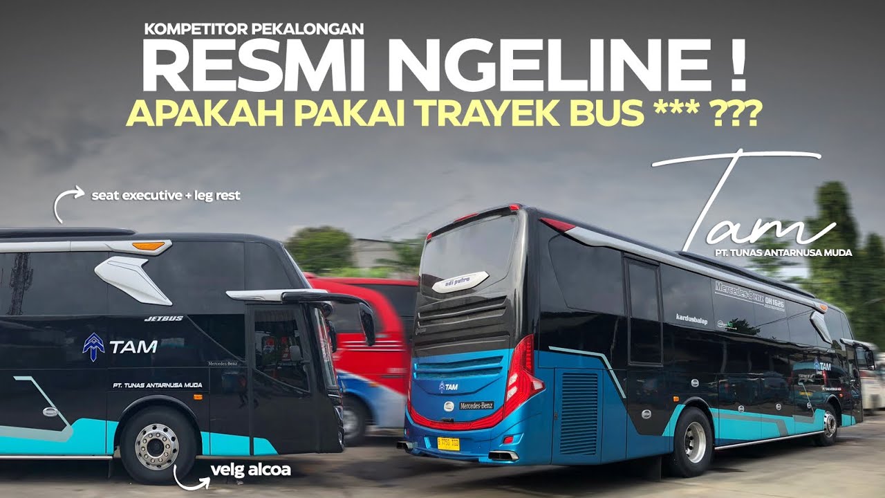 KOMPETITOR BARU RUTE PEKALONGAN! Resmi Ngeline Dengan Layanan Kelas ...