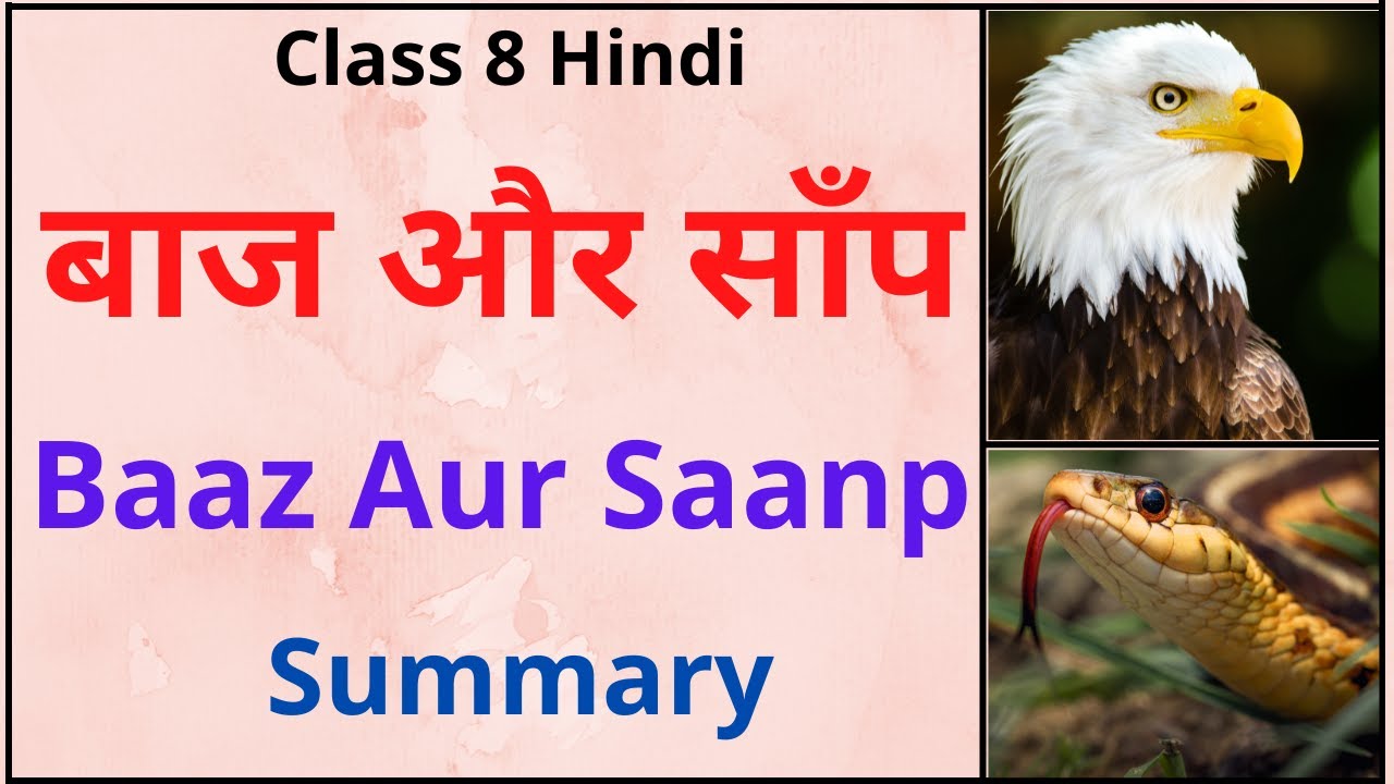 Baaz Aur Saanp Class 8 Summary | बाज और साँप | Class 8 Hindi Chapter 17 ...