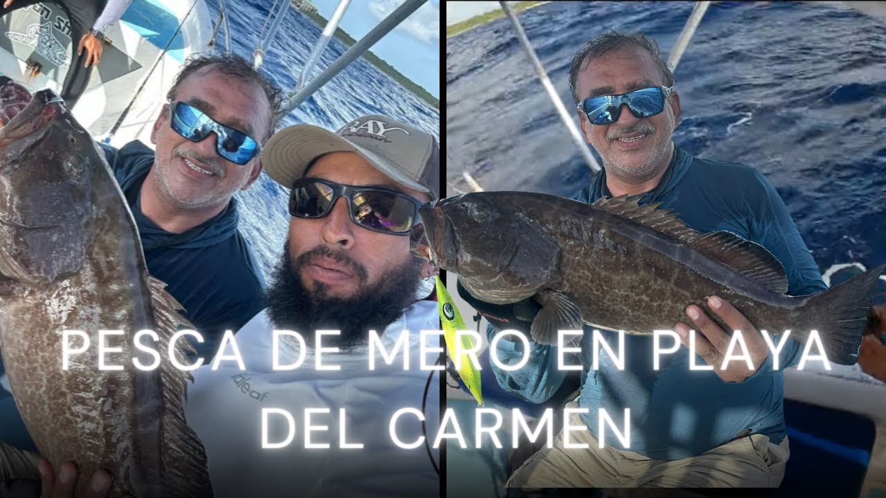 Pesca de mero en las costas de playa del carmen - YouTube