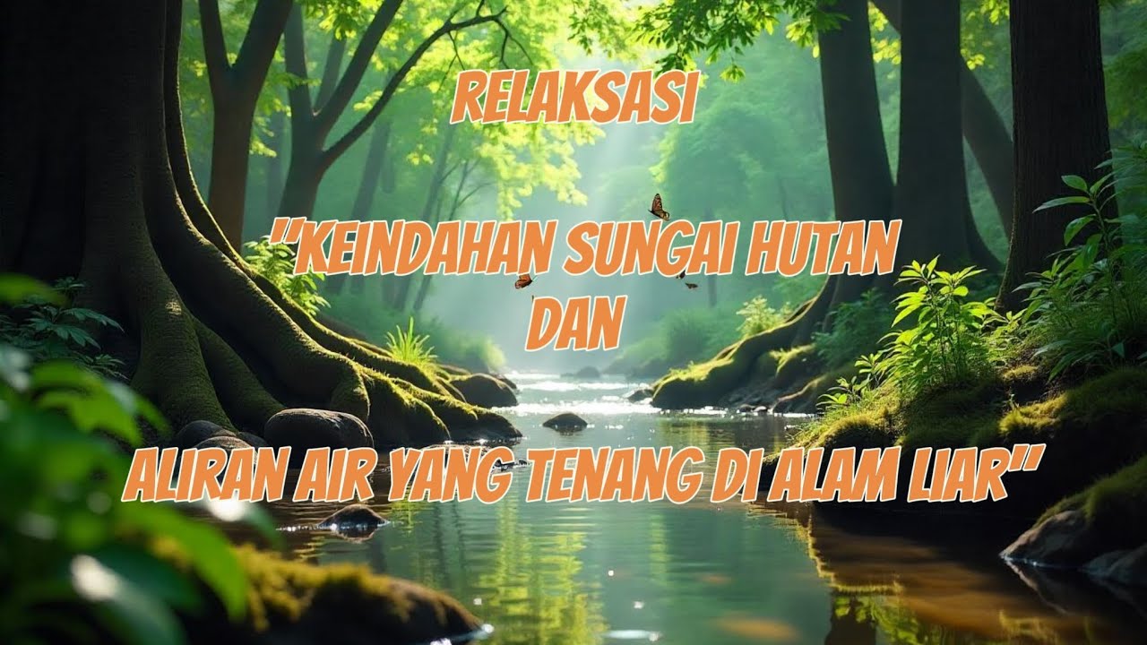 relaksasi "Keindahan Sungai Hutan dan Aliran Air yang Tenang di Alam ...