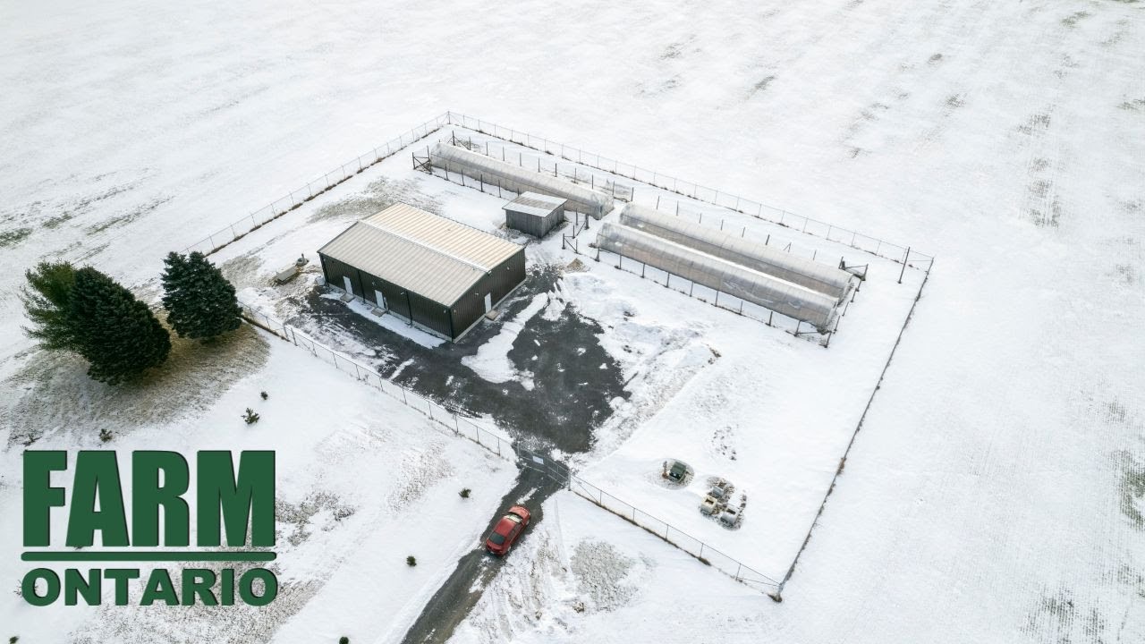 4402 Regional Rd 10, Fournier | Farms For Sale In Ontario - YouTube