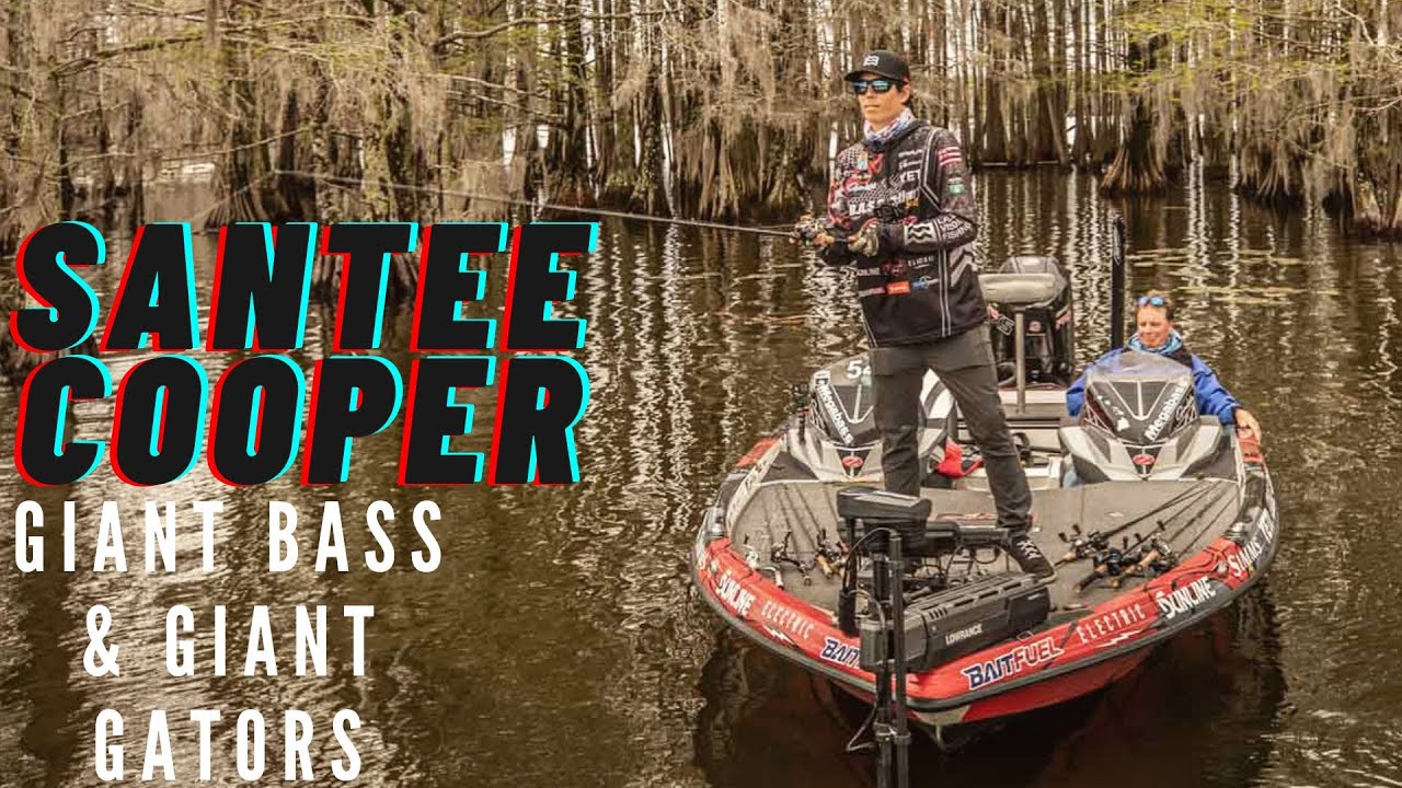 Elite Stop #3 Land of Giant Bass & Gators : Santee Cooper Lakes - YouTube