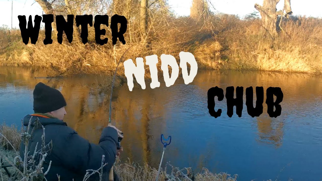 Chub Fishing on Rivers, Winter River Nidd - YouTube