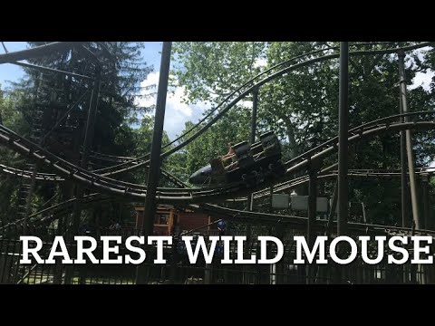 Rarest Wild Mouse in the World! Idlewild Wild Mouse Review - YouTube