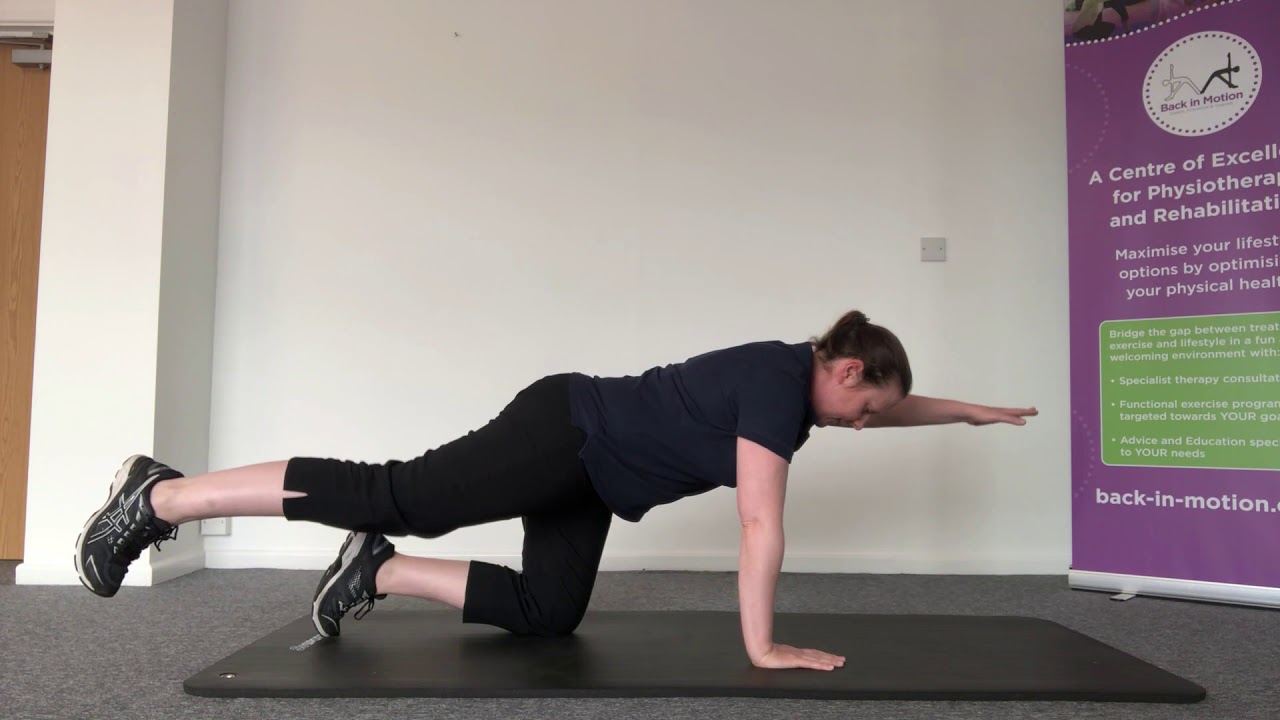 Back Pain series : Exercise 4 Bird dog - YouTube