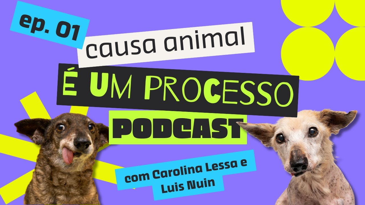Episódio 1 - Causa animal - É um processo - YouTube