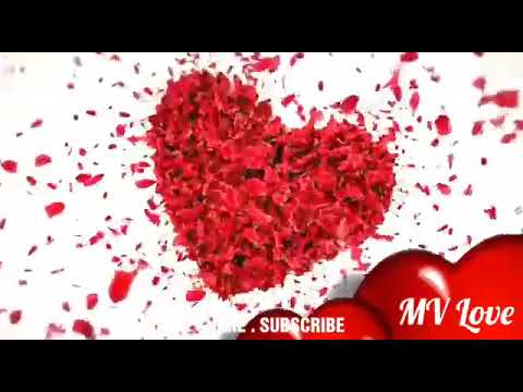 Whatsapp love status(12)