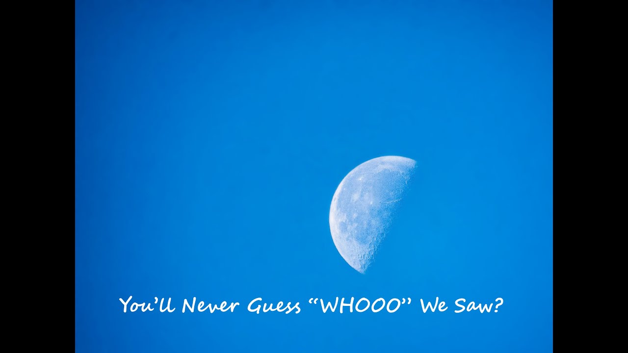 Guess "WHOOO" I saw!? Quick Clip #3 - YouTube