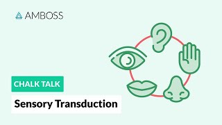 Sensory Transduction